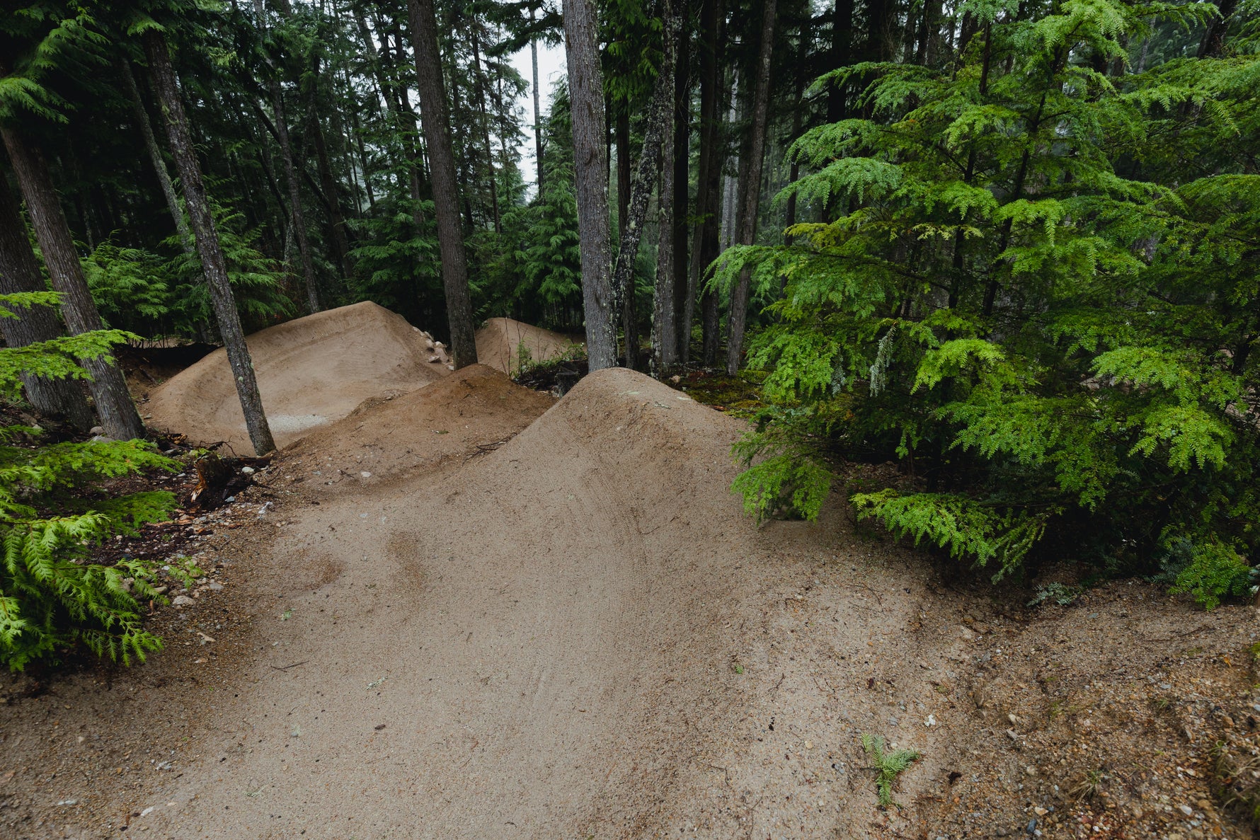 Coast Gravity Park Trails | Sechelt BC