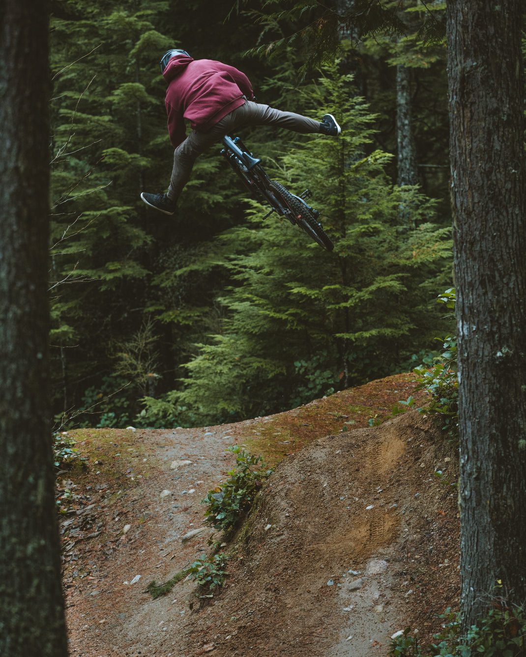 Visit Coast Gravity Park | Sechelt BC